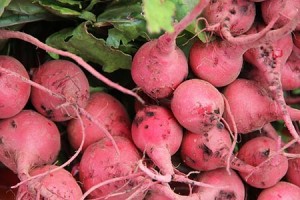 Guide To Growing a Fall Vegetable Garden - Home and Gardening Ideas