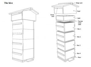10 Awesome DIY Backyard Beehive Plans And Ideas - Home and Gardening Ideas