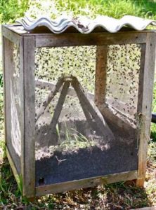 How To Build The King Of DIY Fly Traps - Home and Gardening Ideas