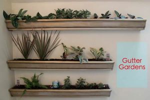 Creative Rain Gutter Planter Ideas To Spruce Up Your Garden - Home and ...