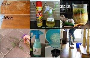 22 Daily Used Products You Can Simply Make At Home - Home and Gardening ...