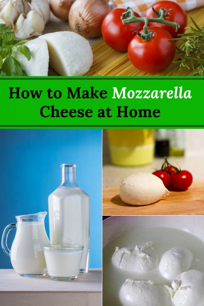 How to Make Mozzarella Cheese at Home - Home and Gardening Ideas