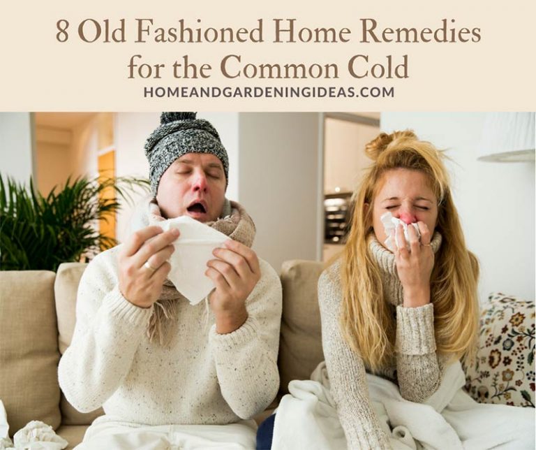 8 Old Fashioned Home Remedies for the Common Cold - Home and Gardening ...