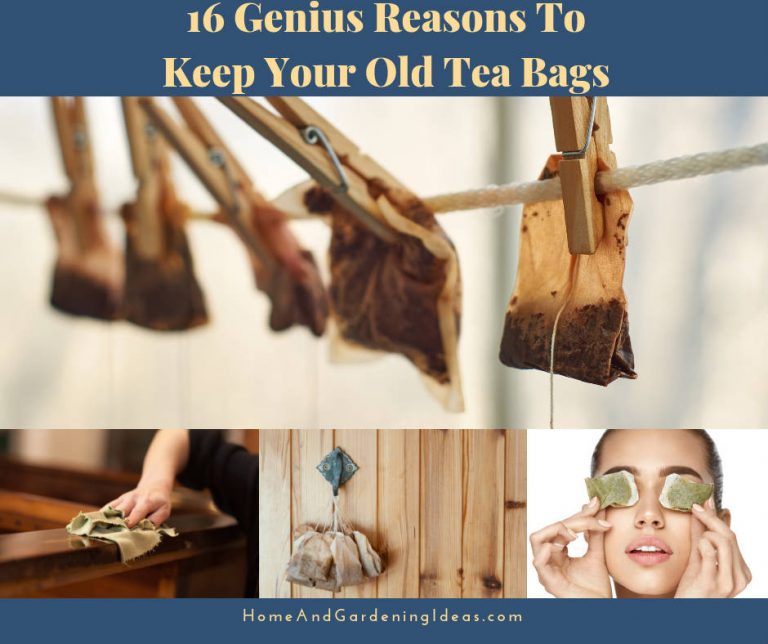 16 Genius Reasons To Keep Your Old Tea Bags - Home and Gardening Ideas