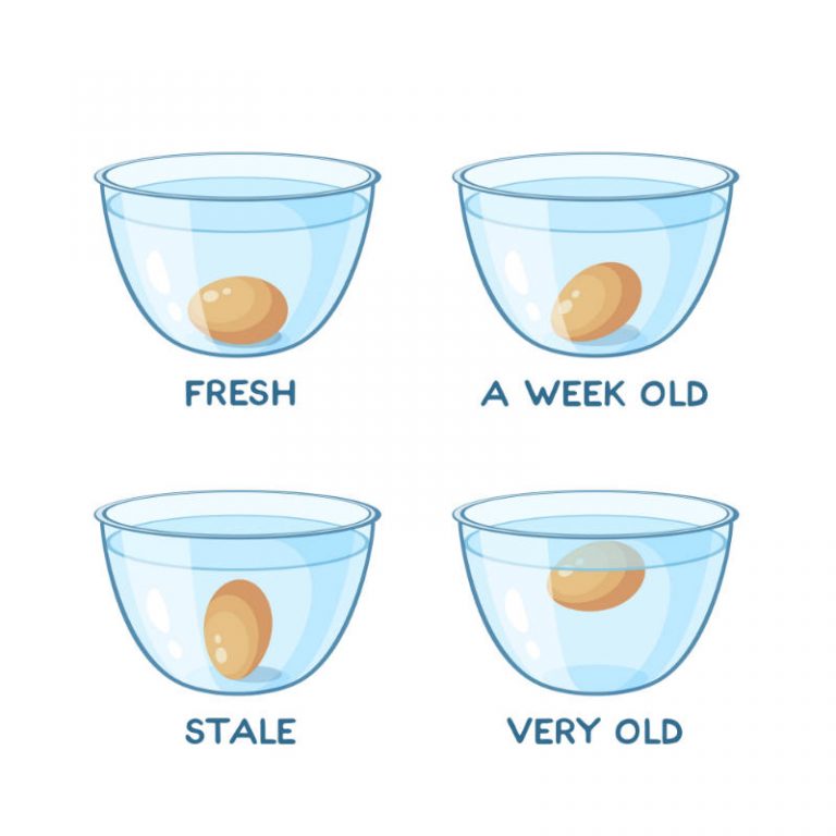 How to Tell If Your Eggs are Fresh - Home and Gardening Ideas