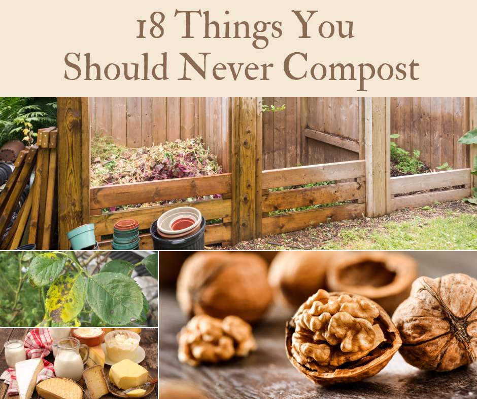 18 Things You Should Never Compost - Home and Gardening Ideas 18 Things You Should Never Compost - Home and Gardening Ideas