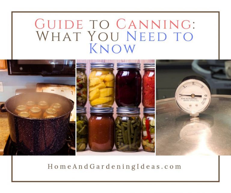 Guide to Canning: What You Need to Know - Home and Gardening Ideas